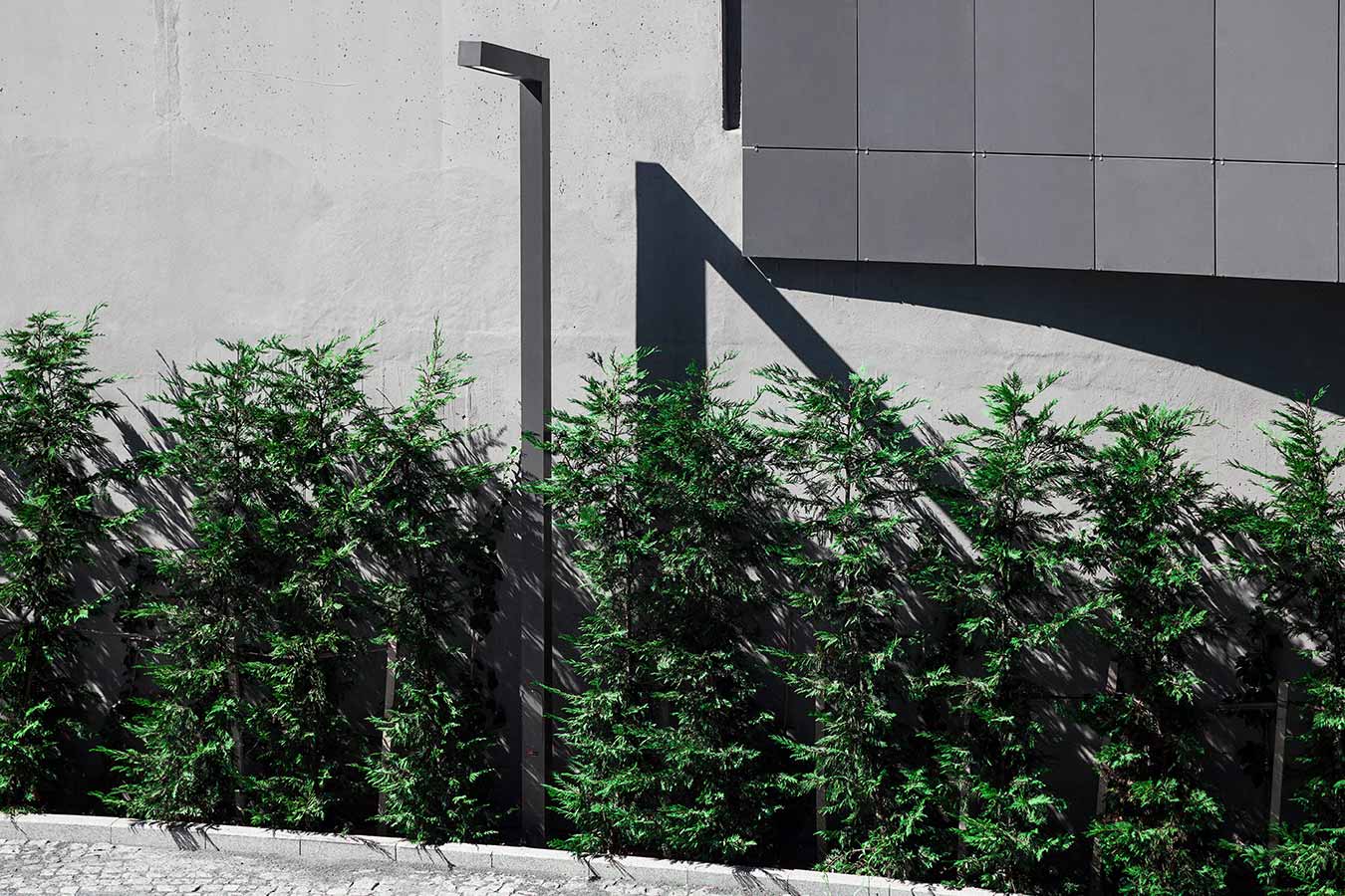 Mese M2 | Urban and Road Lighting | Outdoor – Novalux Lighting Turkey